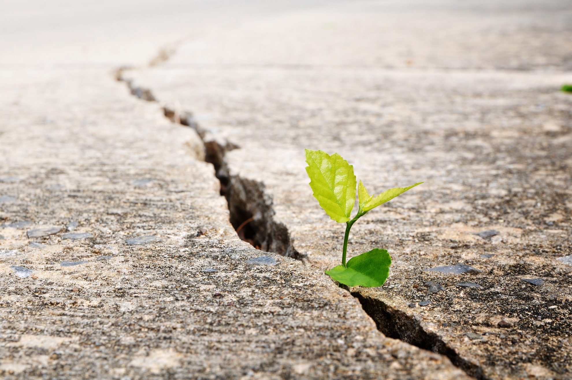 The Death of Greentech Media Editorial Coverage is a Failure of the ...